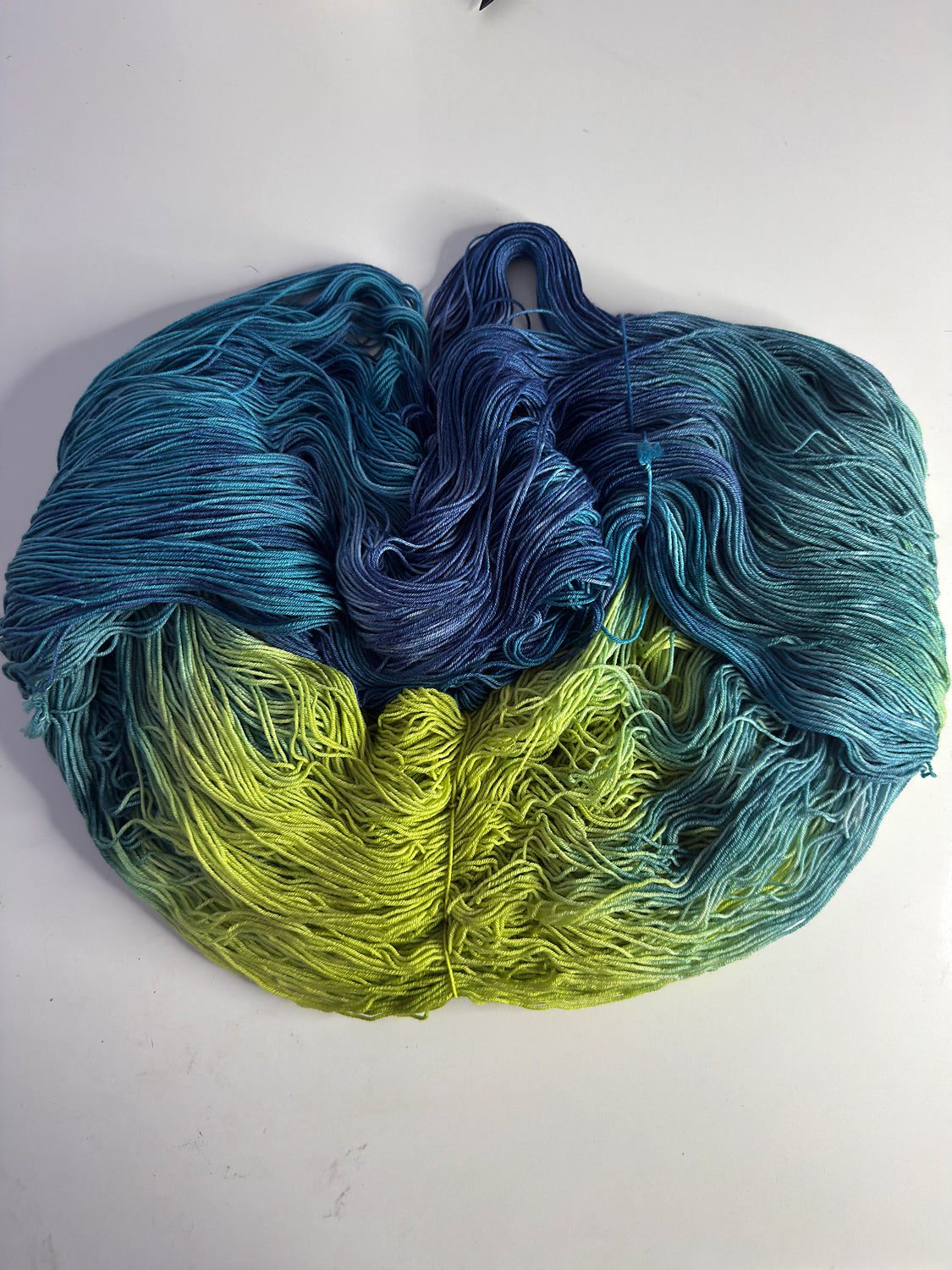 Biolume (Wooly Mammoth) – Wild Dyes Studio