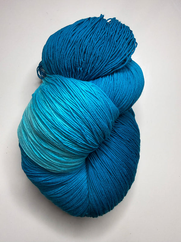 Caribbean Fade (Sweater skein) – Wild Dyes Studio